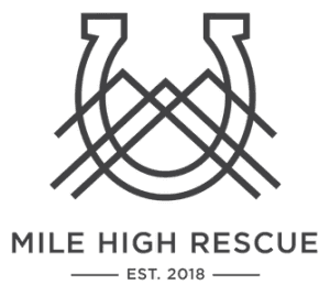Mile High Rescue fourth annual 5K! Running for Rescues! | Runzy